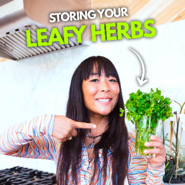 Storing Your Leafy Herbs - Local Roots NYC