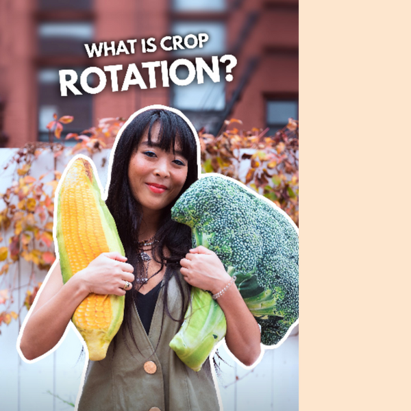 What is Crop Rotation? - Local Roots NYC