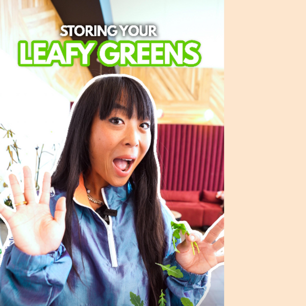 Storing Your Leafy Greens - Local Roots NYC