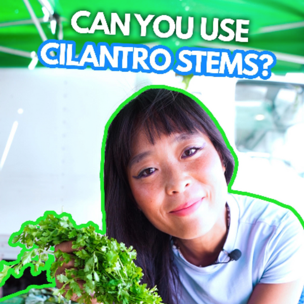 Can You Use Cilantro Stems? - Local Roots NYC