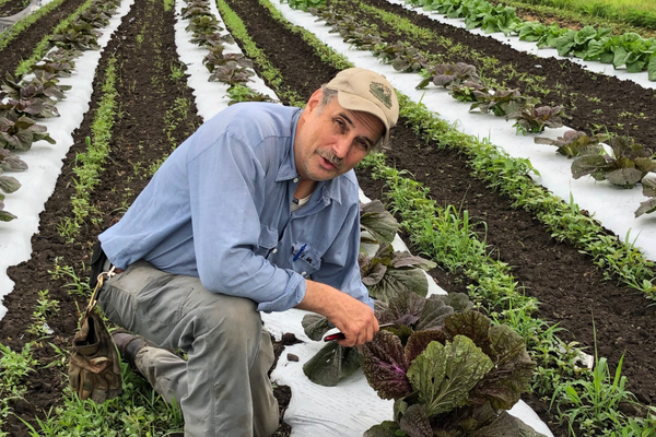 Fresh Meadow Farm - Local Roots NYC