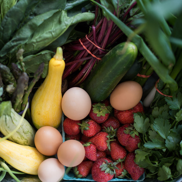 Why seasonal eating actually(!) matters - Local Roots NYC