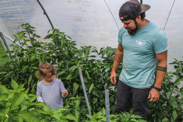 Deep Roots Farm - Local Roots NYC